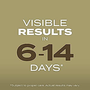 Scotts Turf Builder Grass Seed Southern Gold Mix for Tall Fescue Lawns in The South with Root-Building Nutrition, 16 lb.