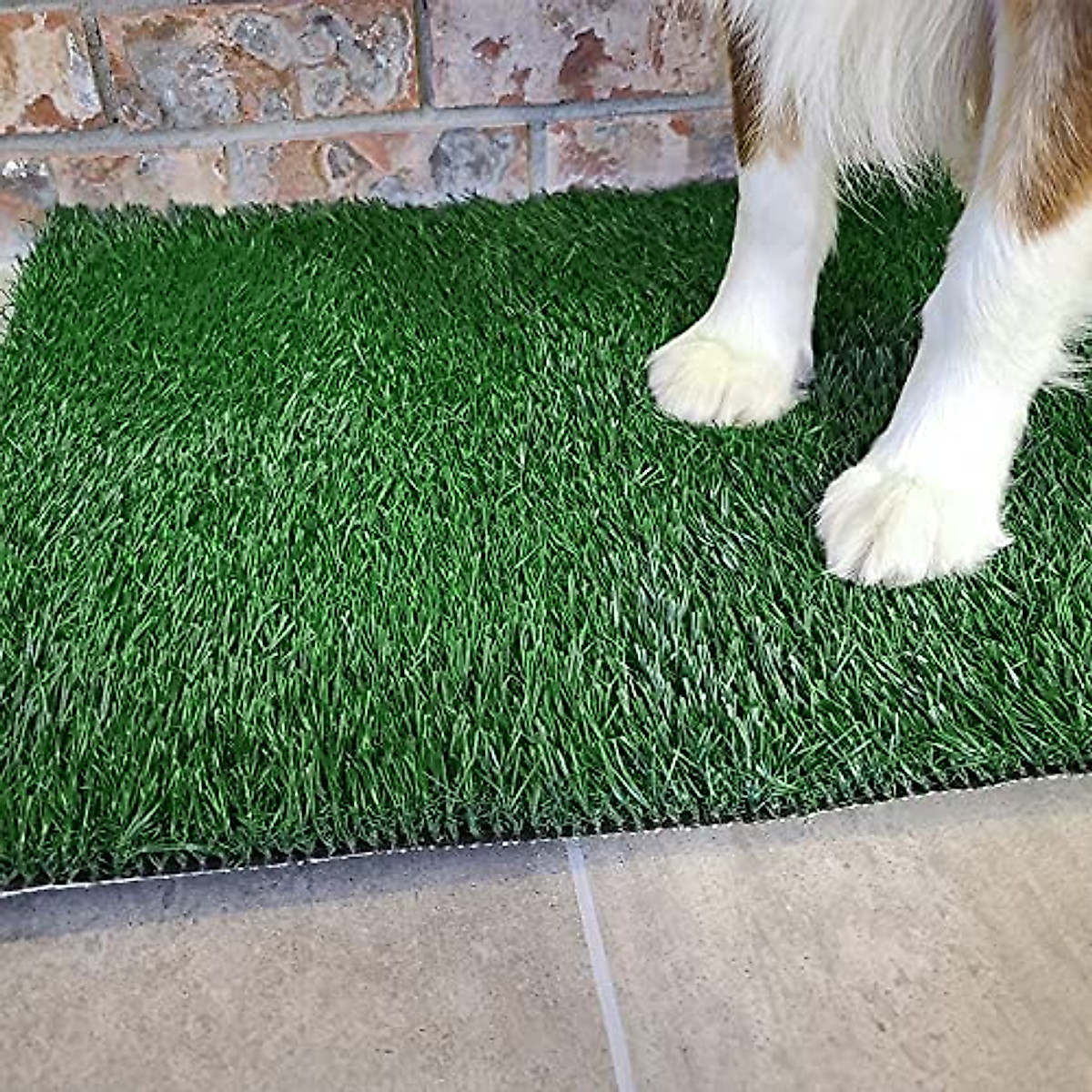 Dog Grass Pet Loo Indoor/Outdoor Portable Potty, Artificial Grass Patch Bathroom Mat and Washable Pee Pad for Puppy Training, Full System with Trays (Pet Training Tray, 20"x16")