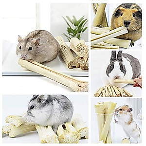 Chngeary 150g and 300g Natural Sweet Bamboo Sticks Small Animals Treats Toys, Rabbit Hamster Guinea Pigs Toys Chinchilla Squirrel Bunny Chew Toys(150g)