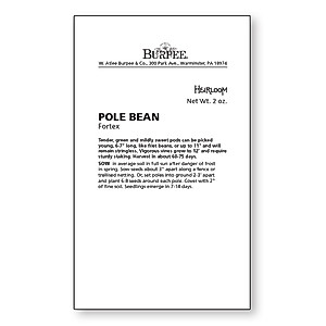 Burpee Fortex Pole Bean Seeds 2 ounces of seed