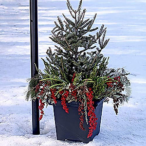 The HC Companies 24 Inch Terrazzo Large Square Planter - Rolled Rim Weather Resistant Decorative Plastic Plant Pot for Indoor Outdoor Use, Black