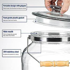 Daitouge 2.5 Gallon Glass Jar with Lids, 5.5" Opening Heavy Large Glass Storage Jars with Handle, Extra Big Glass Container for Kitchen Organization