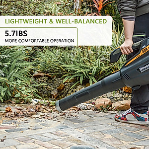 Diivoo Cordless Leaf Blower with 40 V Brushless Motor, 480-CFM/92-MPH Lightweight, Handheld, 2.5 Ah Battery-Powered Blower for Patios and Yards