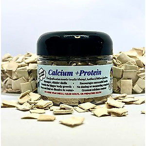Calcium + Protein Tablets - Great for Picky Eaters - Snails, Shrimp, Bottom Dwelling Fish, Plecos, Crabs, and More!