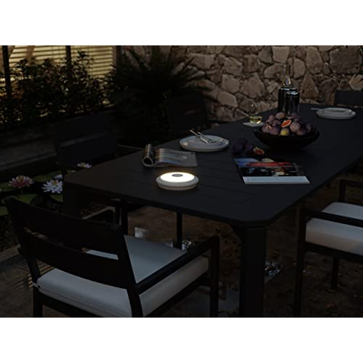 Good Earth Lighting LED Indoor/Outdoor Rechargeable Bluetooth Speaker Light - White, IP65, 4000K, 150 Lumens, Light Timer, USB Charging Cord Included, 30,000 Hour Rated Lamp Life