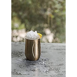 Vinglacé Wine Bottle Chiller Gift Set- Portable Stainless Steel Wine Cooler with 2 Stemless Wine Glasses, Rose