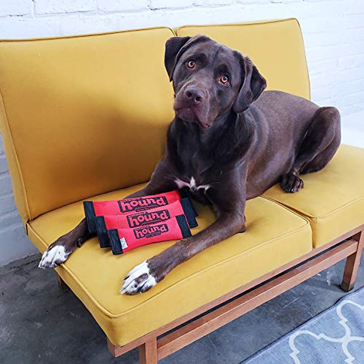 Outward Hound FireHose Fetch Dog Toy, Small