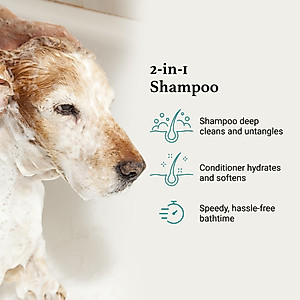 iGroom All-in-One Dog Shampoo + Conditioner, Luxury Pet Beauty Care, Deep Clean All Coat Types, Hydrate and Condition Coat, Made in The USA, 16 oz