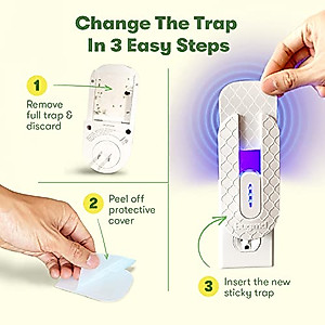 BugMD No Buzz Zone Refiller Pad (6 Refills) - Extra-Strong Adhesive Traps, Indoor Insect Trap Refill, No Harsh Chemicals, Household Friendly, Fly Trap Refill, Flea Trap Refills, Bug Trapper