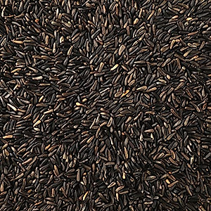 Happy Wings Nyjer/Thistle Seeds Wild Bird Food - (Pack of 2, 13 Ounce x 2) | Prefilled Sock | No Grow Seed | Bird Seeds for Wild Birds