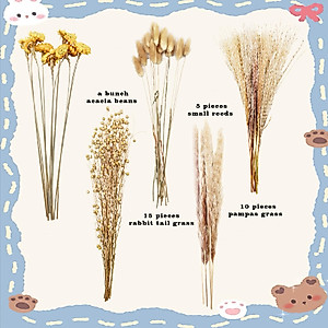 Oooct Hamster Bedding, Natural Flowers Herbs Cereal Grain Decor for Hamster Houses and Hideouts, Small Animal Cages and Habitats Accessories, Suitable for Hamster Rat Gerbil Guinea Pig