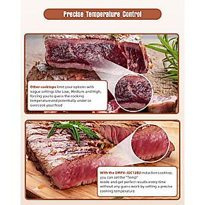 Empava IDC12B2 Horizontal Electric Stove Induction Cooktop with 2 Burners in Black Vitro Ceramic Smooth Surface Glass 120V, 12 Inch