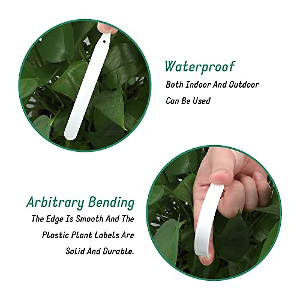 KINGLAKE 100 Pcs 6 Inch Thick Plastic Plant Garden Labels Nursery Garden Labels Stake Tags Plant Name Tags Waterproof Plant Tags Plant Identification Stakes Tags for Seedling,Vegetable White