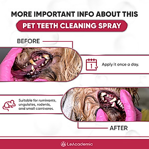 Dog Mouth Spray | Dog Dental Spray | Dental Spray for Dogs Teeth | Cat Dental Care | Colloidal Silver for Dogs, Horses | Dog Teeth Cleaning | Cat Teeth Cleaning | Teeth and Gum Spray for Dogs | 4 Oz