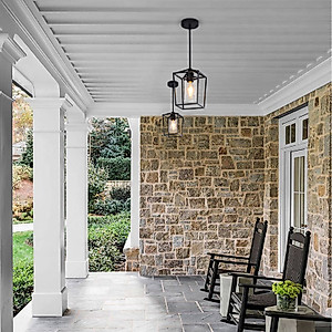 Raxighn Pendant Light Fixture,Adjustable Black Iron Cage Farmhouse Metal Kitchen Island Hanging Light with Clear Glass Shade, Suitable for Kitchen Island, Entrance, Dining Room, Hallway(1 Light)…