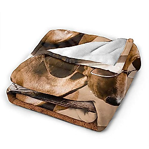 YCKNJYSG Dachshund Professor Fleece Throw Blanket Cozy Couch Bed Sofa Blanket, 60'' X 80''