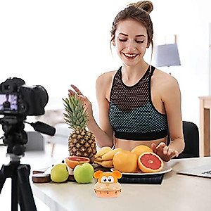 Beaupretty Cartoon Mechanical Kitchen Cooking Timer: Cute Puppy Animal Wind Up Timers 60 Minutes Clock Loud Alarm Counters Manual Study Timer Kitchen Utensil for Adults