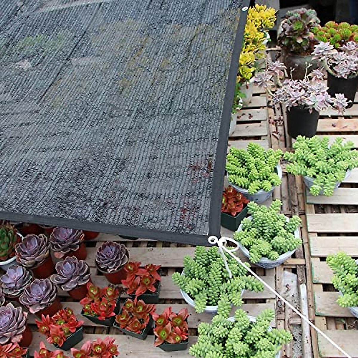 LOVE STORY 12x20 FT 55% Black Shade Cloth Sunblock Mesh Cover Taped Edge with Grommets, UV-Resistant,Sun Net for Pergola, Plants Greenhouse, Gardens, Patio, Canopy