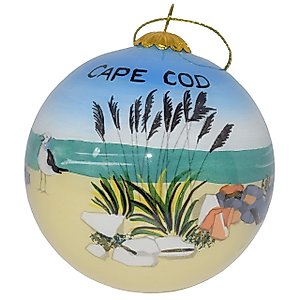 Blown Glass Christmas Ornament | Beach & Bird Cape Cod | Hand Painted Inside | Original Art | Includes Gift Box