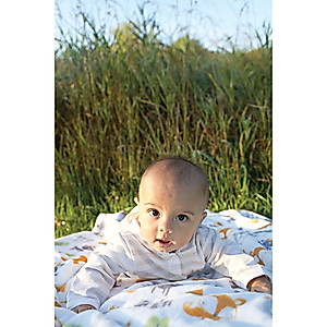 Trend Lab Plush Baby Blanket, Green Forest Pals