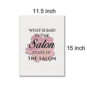 LEXSIVO Pink Salon Modern Print Canvas Wall Art Home Decor What is Said in the Salon Stays in the Salon Painting 12x15 Canvas Poster Framed Ready to Hang