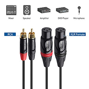 Cable Matters Dual XLR to RCA Cable 10 ft, XLR Female to RCA Cable (Dual Female XLR to RCA Cable) - 10 Feet