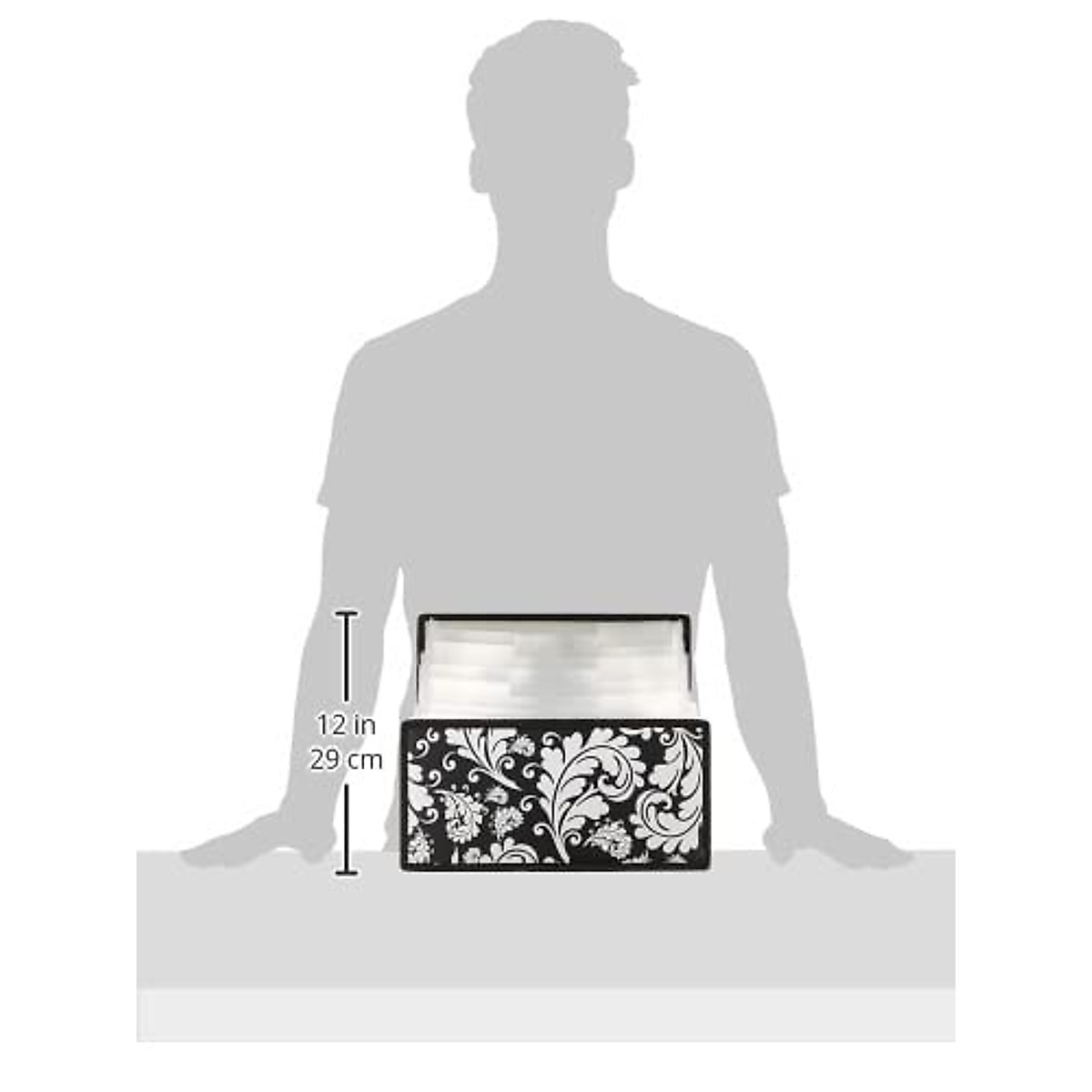 Storage Studios Projections Paper Holder with 10 Expandable Sections, 14.625 x 9 x 14.25 Inches, Black and White (CH92650)