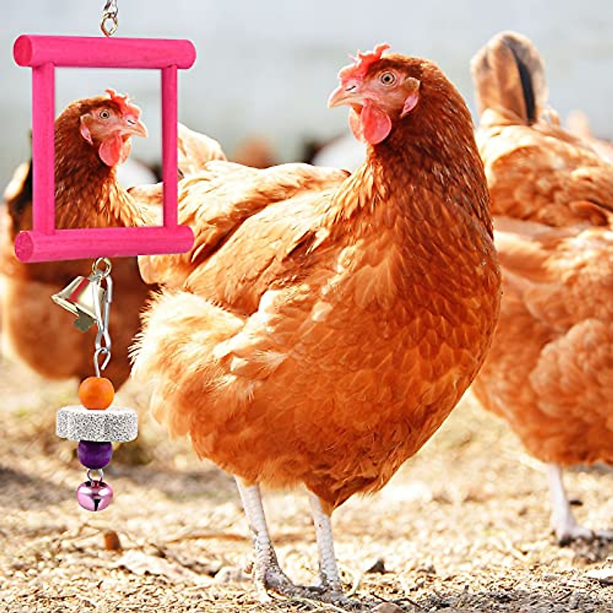 2 Pieces Chicken Mirror Toys Hanging Swing Mirror Toys with Bell Wooden Pecking Toy and 4 Pieces Beak Grinding Molar Stones for Hens Birds Parrots