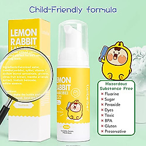Lanbeibei Kids Foam Toothpaste, Fluoride Free Natural Formula Strawberry Flavor 60ml 1Pack