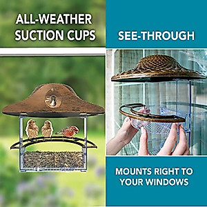 Skyline 1-Level Window-Mount Bird Feeder Kit, Strong Suction Cups and Drainage Holes, Clear Transparent Bird Feeder, Expandable, Antique Copper Finish