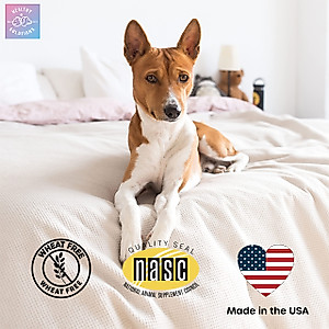 Dog Daily Essentials Bundle - Includes All-in-One Dog Multivitamin, Probiotics for Dogs, & Glucosamine for Dogs - Supports Joints, Digestion, Skin, & Coat - 60ct Soft Chews | Made in USA