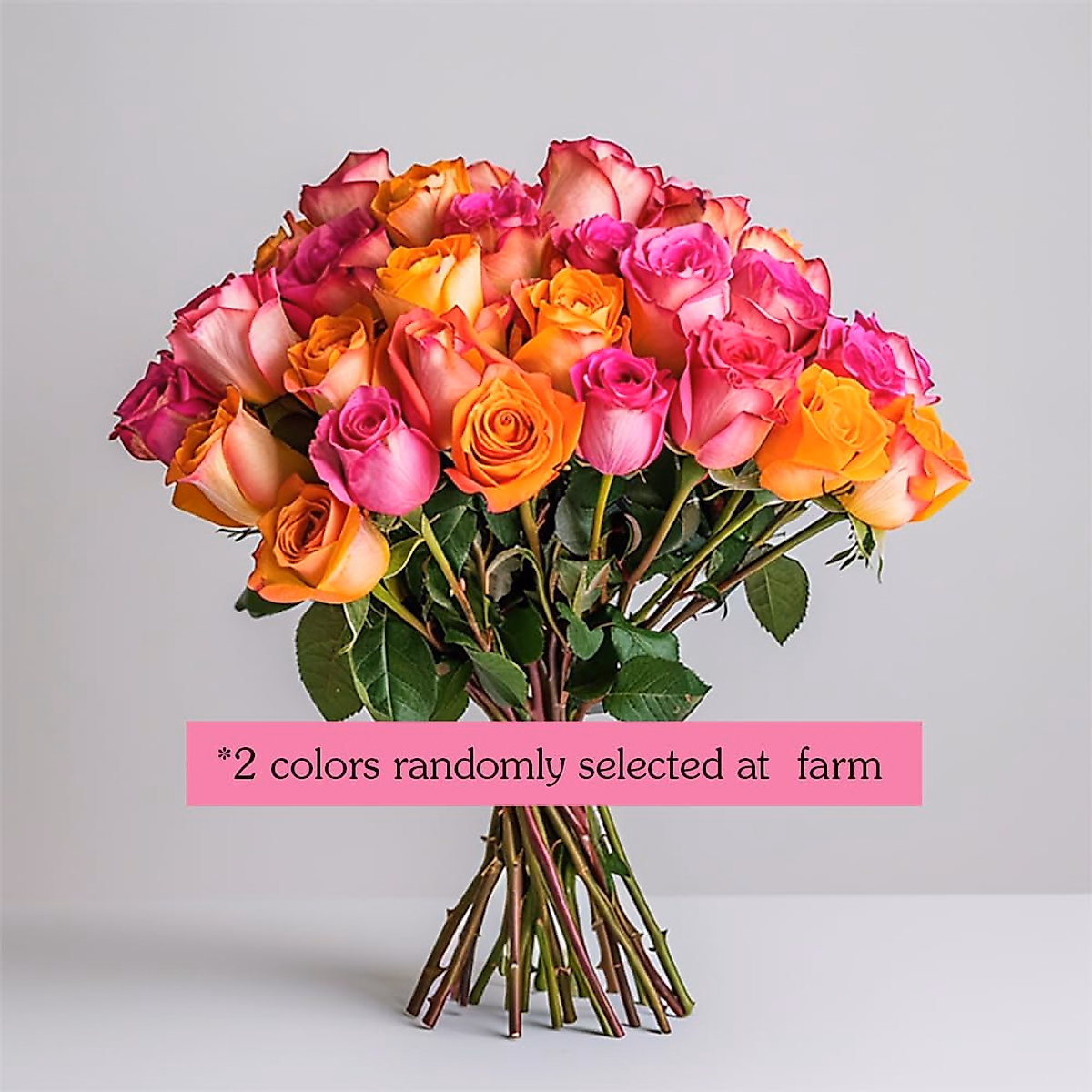 50 Assorted Roses- Two Beautiful Colors- Fresh Cut Flowers (OM)