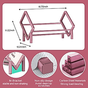 Stainless Steel Desk Bookshelf, Desktop Shelf for Book Lovers and Record Keepers ,Vinyl Record Holder for Magazine/CDs/Book Display,Tabletop Bookcase Book Organizer in Living Room/Office/Bedroom