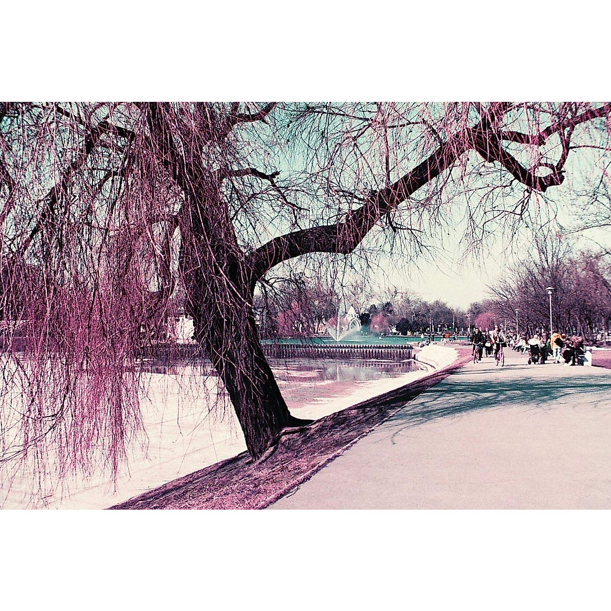 Lomochrome Purple 35 mm ISO 100-400