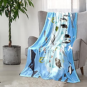 Plush Blanket Throw Blanket Warm Cozy Soft Microfiber Blankets, Antarctic Glacier Animal Penguin Sea Lion