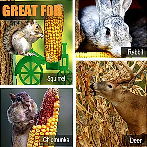 Old Potters Ear Corn for Animals - Approx. 13 lbs - Grown in USA Feed for Backyard Animals, Great for Squirrels, Deer, Rabbits, and Other Wildlife, 24-30 Count.