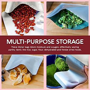 Avid Armor 6x8 Pack of 100 - Silver Vacuum Sealer Bags for Food - Heavy Duty Mylar Pouches, Pre-Cut 3-Sides Sealed for Long-Term Food Storage, BPA-Free, Perfect Chamber Vacuum Sealer Bags