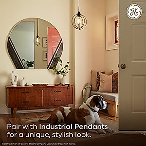 GE Vintage Style LED Light Bulb, 40 Watt, Amber Finish, G25 Globe Bulb (1 Pack)