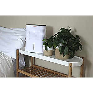 Crane Dehumidifier, Compact Portable Design, Effective Moisture Removal up to 300 Sq. Feet, 0.5 Gallon – 2 Liter Water Tank, White