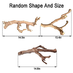 BNOSDM 2PCS Reptile Wood Branches Decor Lizard Habitat Decoration Snake Climbing Branch Accessories Terrarium Tree Trunk Ornament for Bearded Dragon Gecko Frog Chameleon Spider
