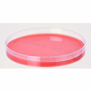 Blood Agar Plate, 5% Sheep Blood in Tryptic Soy Agar (TSA) Base, 15x100mm Plate, Order by The Package of 100, by Hardy Diagnostics