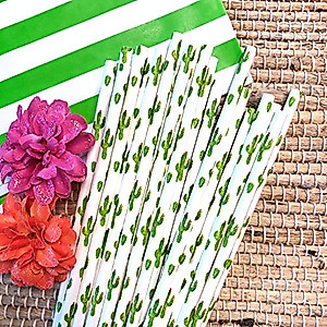 Cactus Theme Paper Straws - Green White Succulents and Gold Foil Drinking Straws - 100 Pack Outside the Box Papers Brand