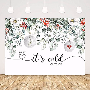 AIBIIN 7x5ft Winter Baby It's Cold Outside Backdrop Christmas Eucalyptus Leaves Baby Shower Decorations Winter Photography Background for Baby Shower Photo Booth Props