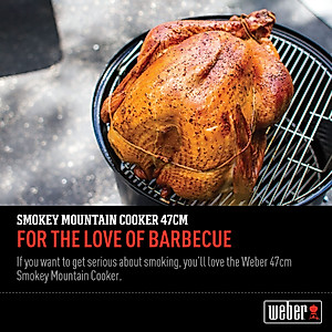 Weber 2820 Smokey Mountain Cooker/Smoker