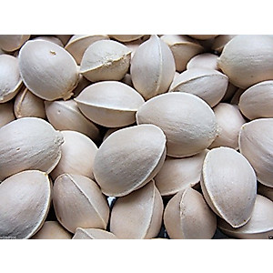 GINKGO BILOBA Plant Seeds"Maidenhiar tree" Can make an excellent bonsai(5 seeds)