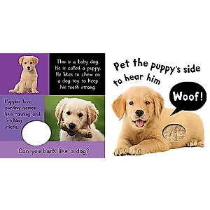 Noisy Baby Animals: Includes Six Sounds! (My First)