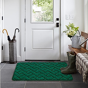 Walensee Indoor Doormat, Front Door Mat for Entrance (20"x32" Green) Machine Washable Entryway Rug, Non Slip Trapper Door Rugs Absorbent Dirt Low Profile Shoes Scraper Inside Floor Mats