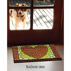 Toland Home Garden 800003 Ladybug Heart Summer Door Mat 18x30 Inch Welcome Outdoor Doormat for Entryway Indoor Entrance