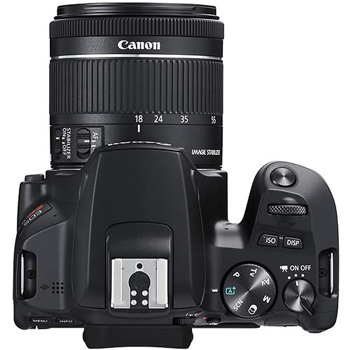 Canon EOS Rebel SL3 DSLR Camera with 18-55mm is STM Zoom Lens Bundle + 64GB Memory, Case, Tripod, Extra Battery and More