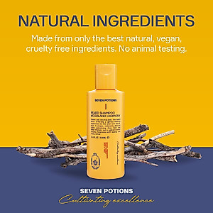 SEVEN POTIONS Beard Shampoo for Men — Gentle, Cleansing Wash for a Clean, Itch-Free Beard — Natural, Vegan, Cruelty-Free — (Woodland Harmony, 3.4 Fl Oz)